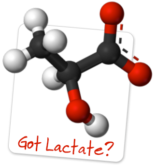 7 Day Ab Targeted Solution